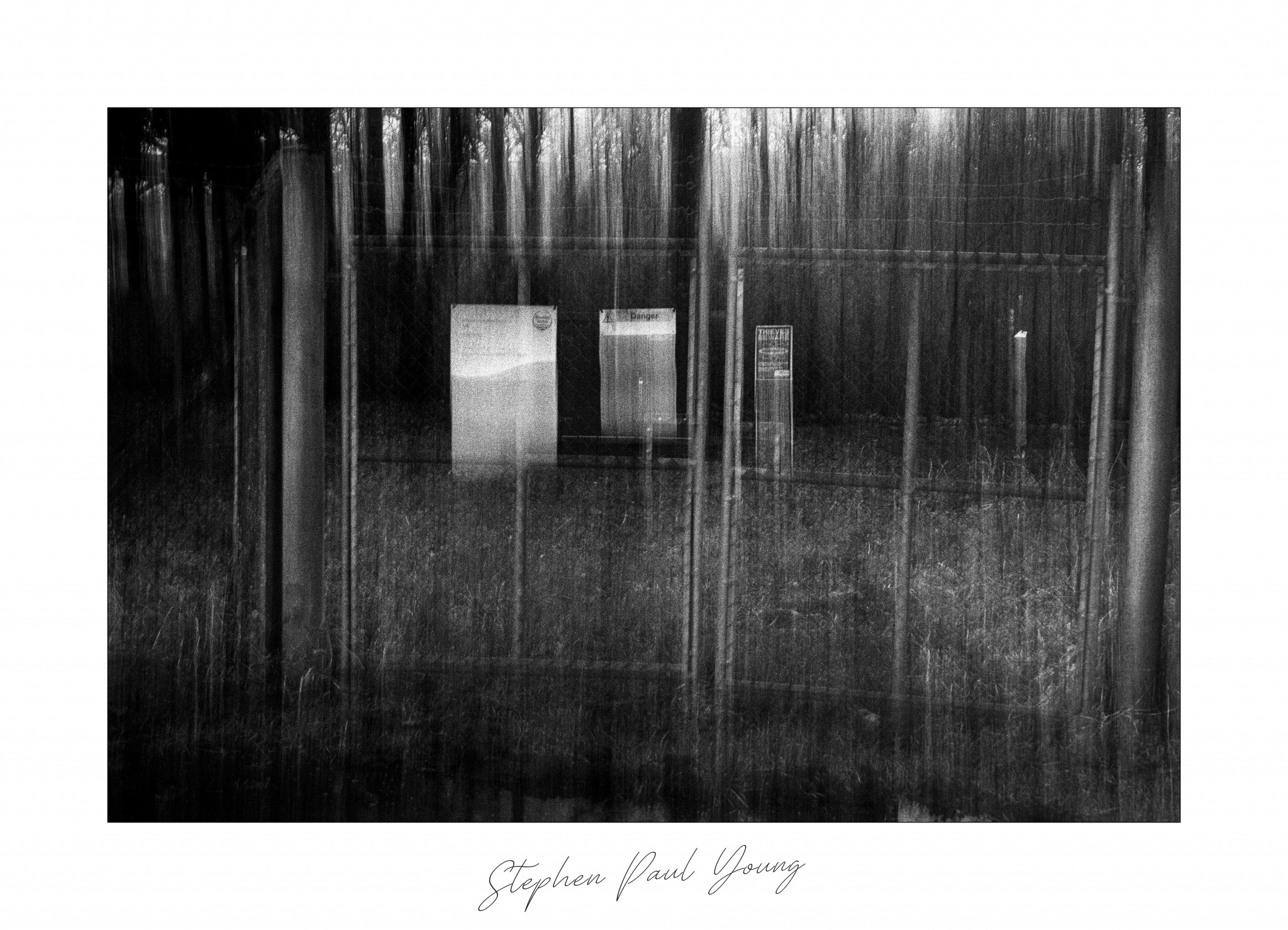 ICM Photography in 6 Photographs - Why You should Embrace it
