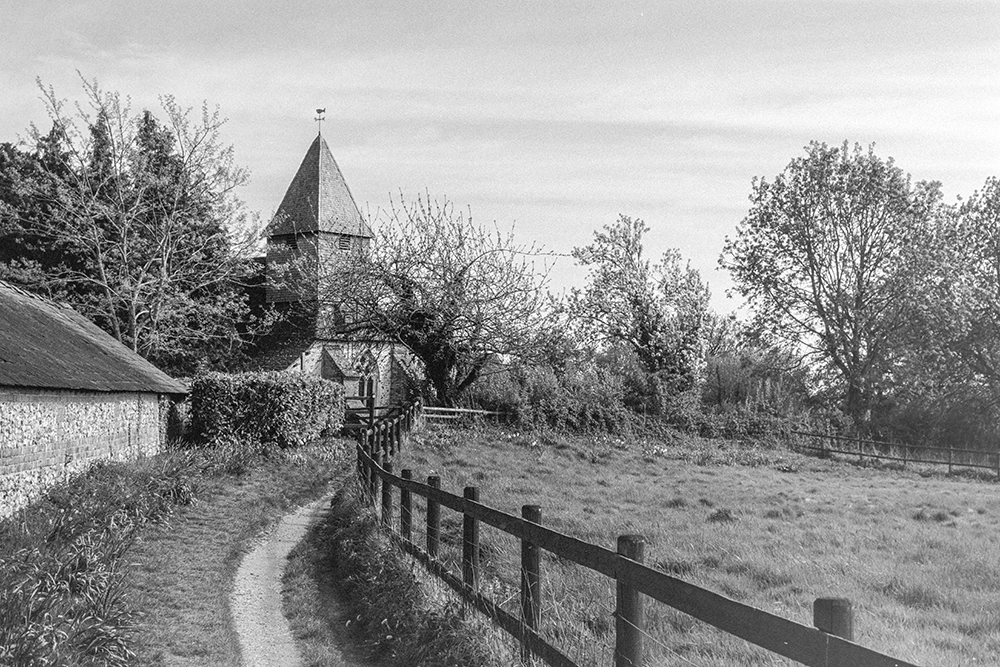 Fomapan 400 Review – Characterful Black & White Film for Low Light