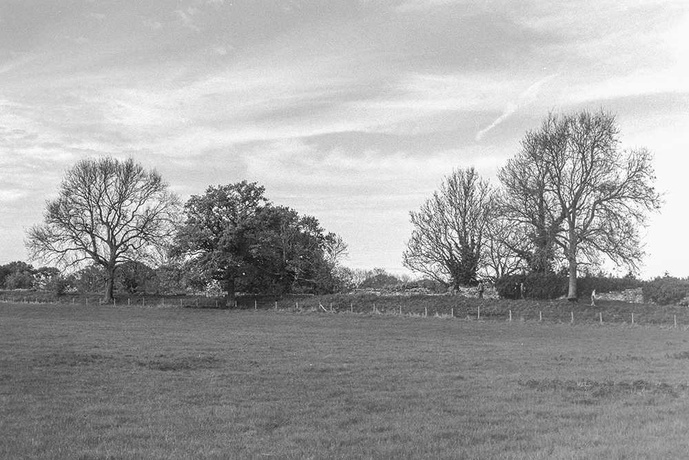 Fomapan 400 Review – Characterful Black & White Film for Low Light